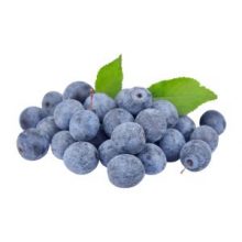 Propiedades de las Endrinas, Fruta del Pacharán, Beneficios y Recetas