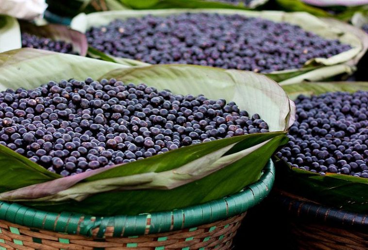 10 Impresionantes Beneficios Para La Salud De Las Bayas De Acai o Açaí ...