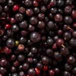 Agraz Fruta: Qué es? Beneficios, Propiedades, el Mortiño para qué sirve