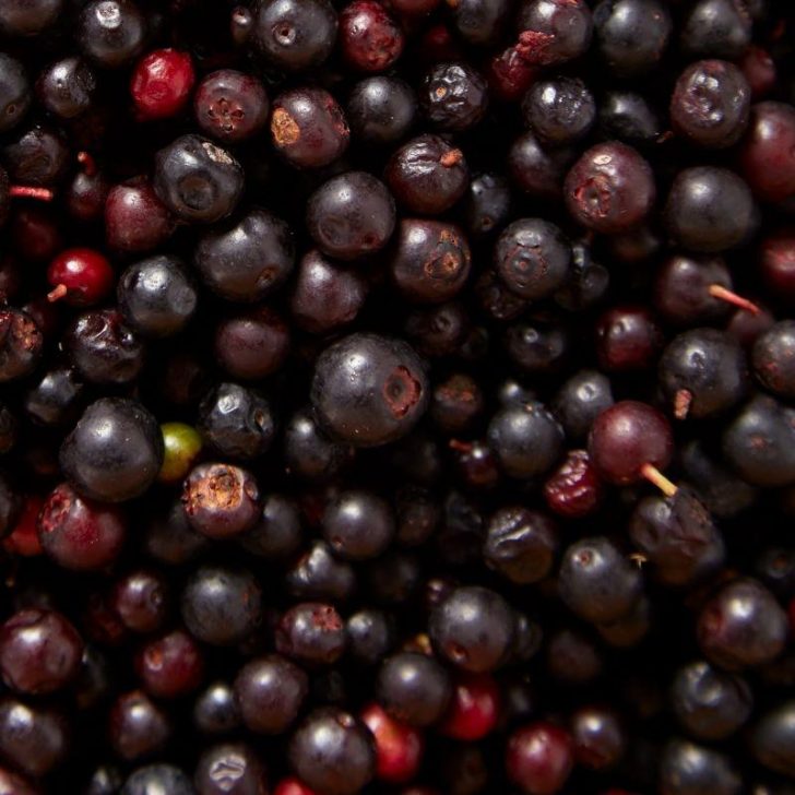 Agraz Fruta: Qué es? Beneficios, Propiedades, el Mortiño para qué sirve