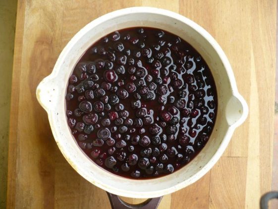 Agraz Fruta: Qué es? Beneficios, Propiedades, el Mortiño para qué sirve