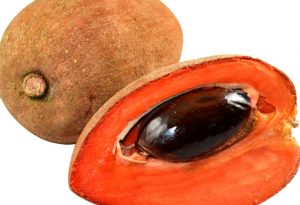Zapote: ¿Qué es?, Propiedades y Cómo consumirlo