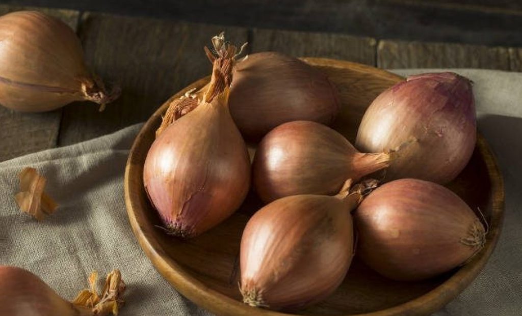 Qué son las chalotas, consumo, conservación y usos